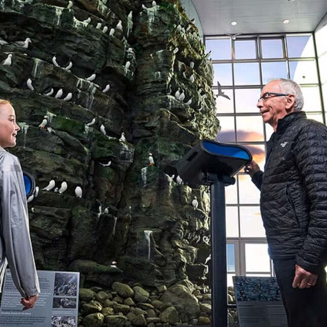 Perlan Ice Cave Wonders of Iceland Museum Ticket - BusTravel Iceland