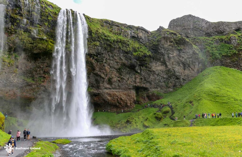 Experience Vík í Mýrdal on Iceland's Southern Shores - BusTravel Iceland