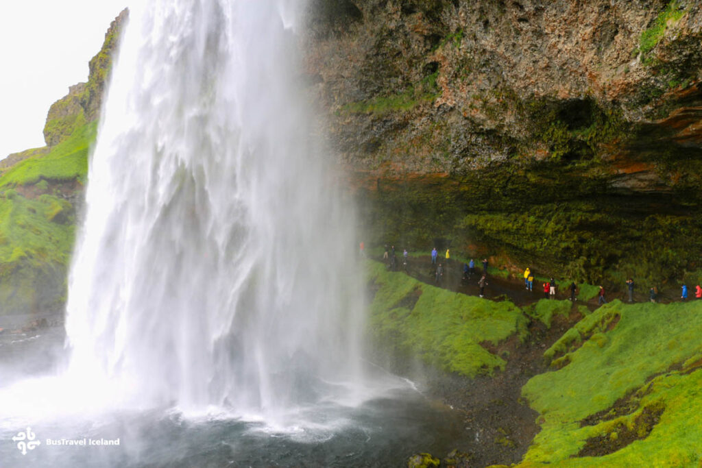 A Tourists Guide To Seljalandsfoss Waterfall - BusTravel Iceland