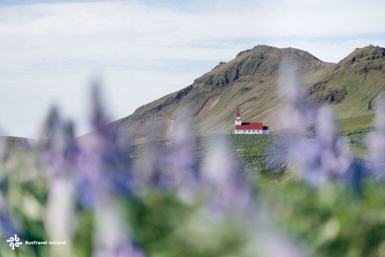 Experience Vík í Mýrdal on Iceland's Southern Shores - BusTravel Iceland