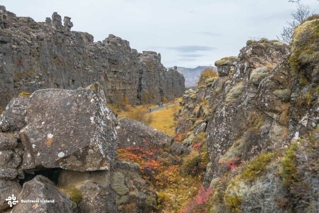 Exploring Silfra Fissure Between Two Continents - BusTravel Iceland