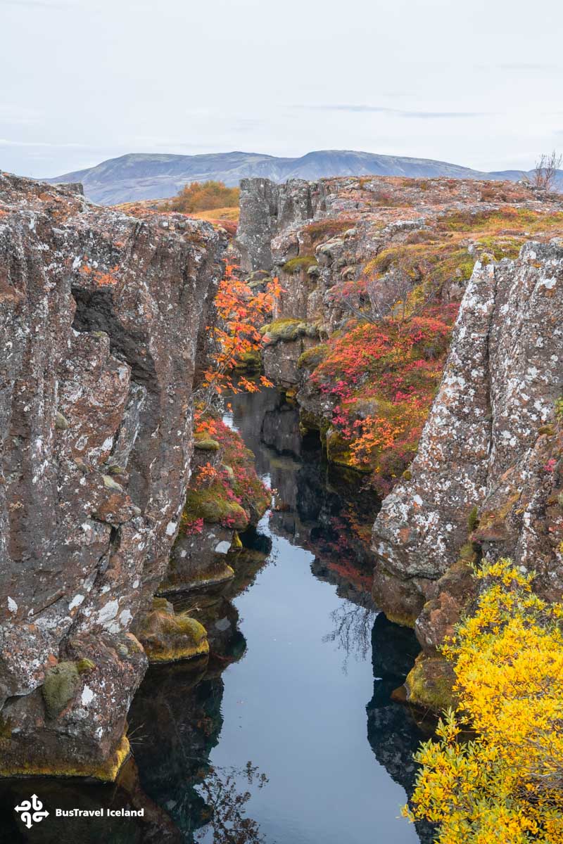 Thingvellir National Park: A guide to Iceland´s Geological Wonder ...