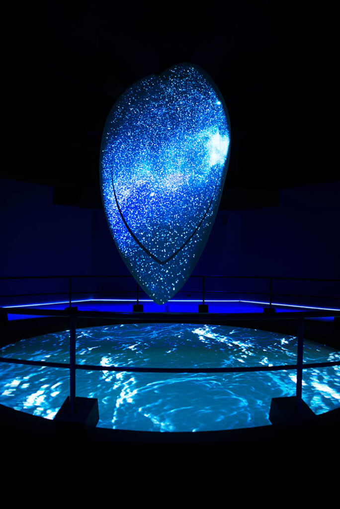 FlyOver Iceland Admission Ticket - BusTravel Iceland