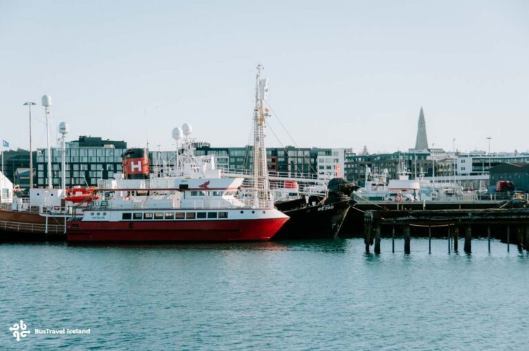 A Guide to Reykjavik's Old Harbor - BusTravel Iceland