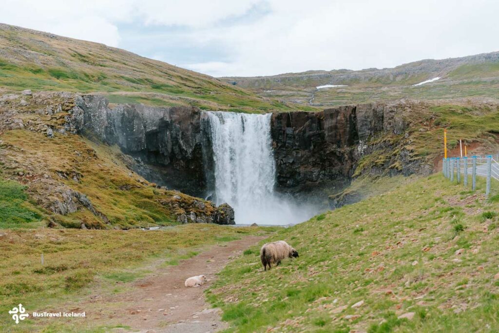 Gufufoss, A Lesser Known Waterfall in East Iceland - BusTravel Iceland
