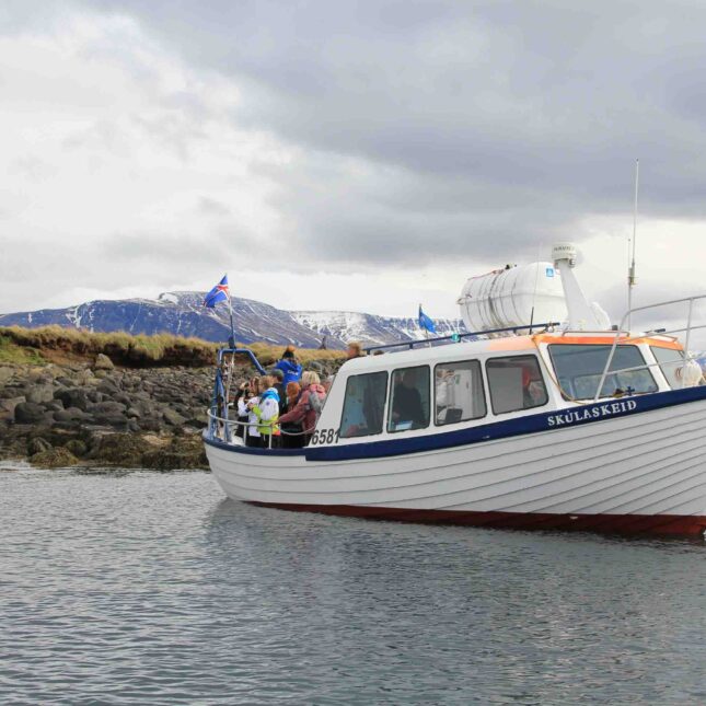 Reykjavik Puffin Tour with Golden Circle - BusTravel Iceland
